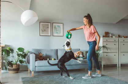 News - What’s Your Pet’s Love Language? A Guide to Understanding and ...